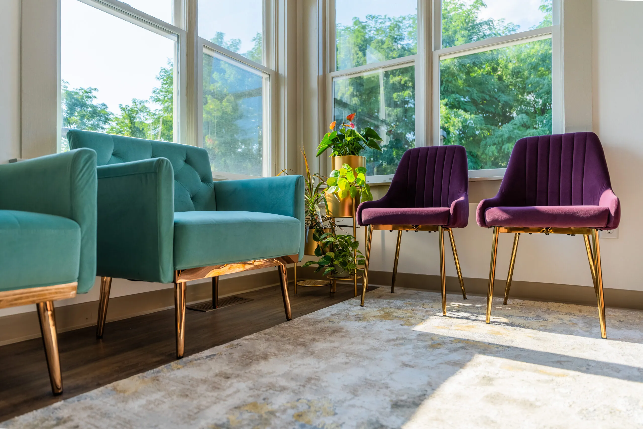 About Purple Dental | Dentist Near Glastonbury | Addison Dentist